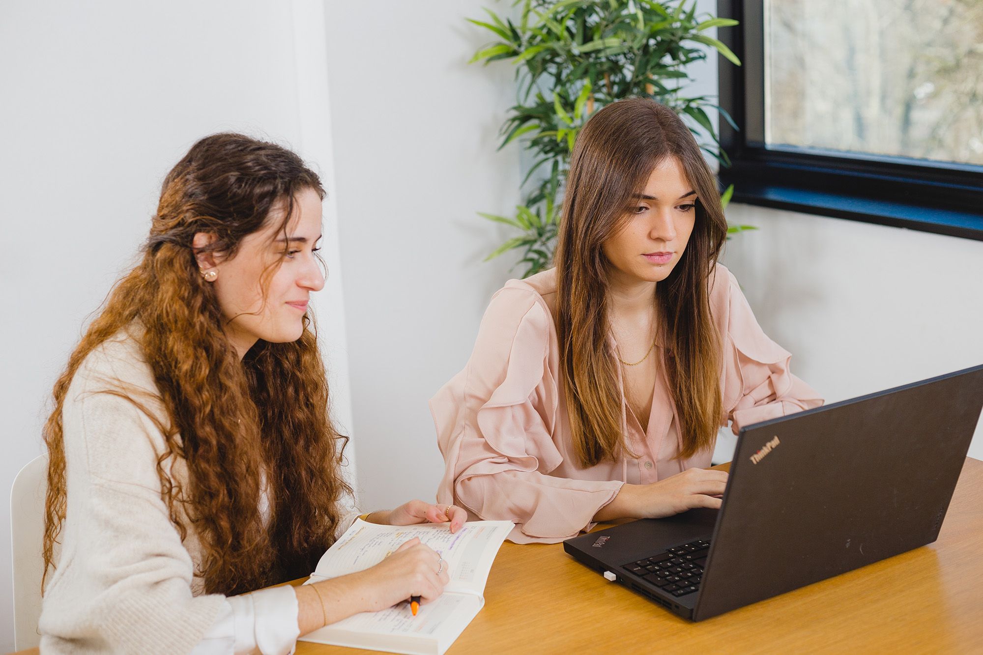 A project is a series of complex and connected tasks that share a single objective. This ...